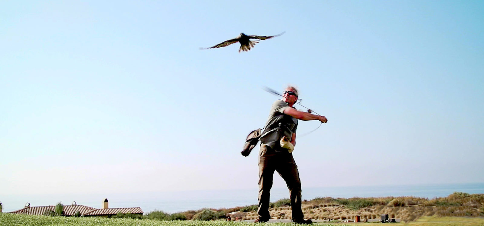 Out of Office: A Day in the Life of Joe Roy III, Falconer at Terranea ...