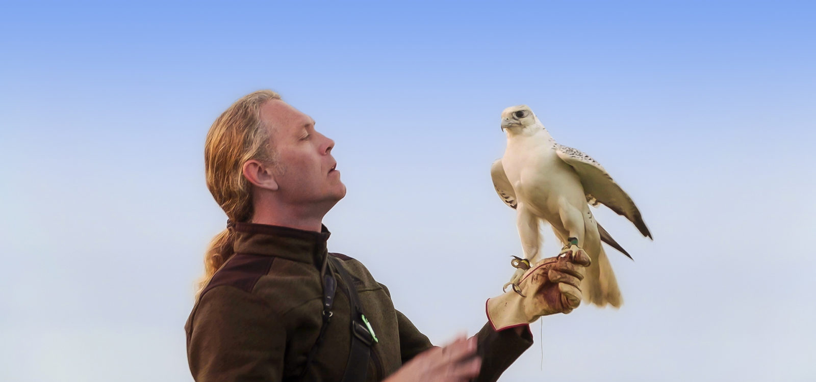 Out of Office: A Day in the Life of Joe Roy III, Falconer at Terranea ...