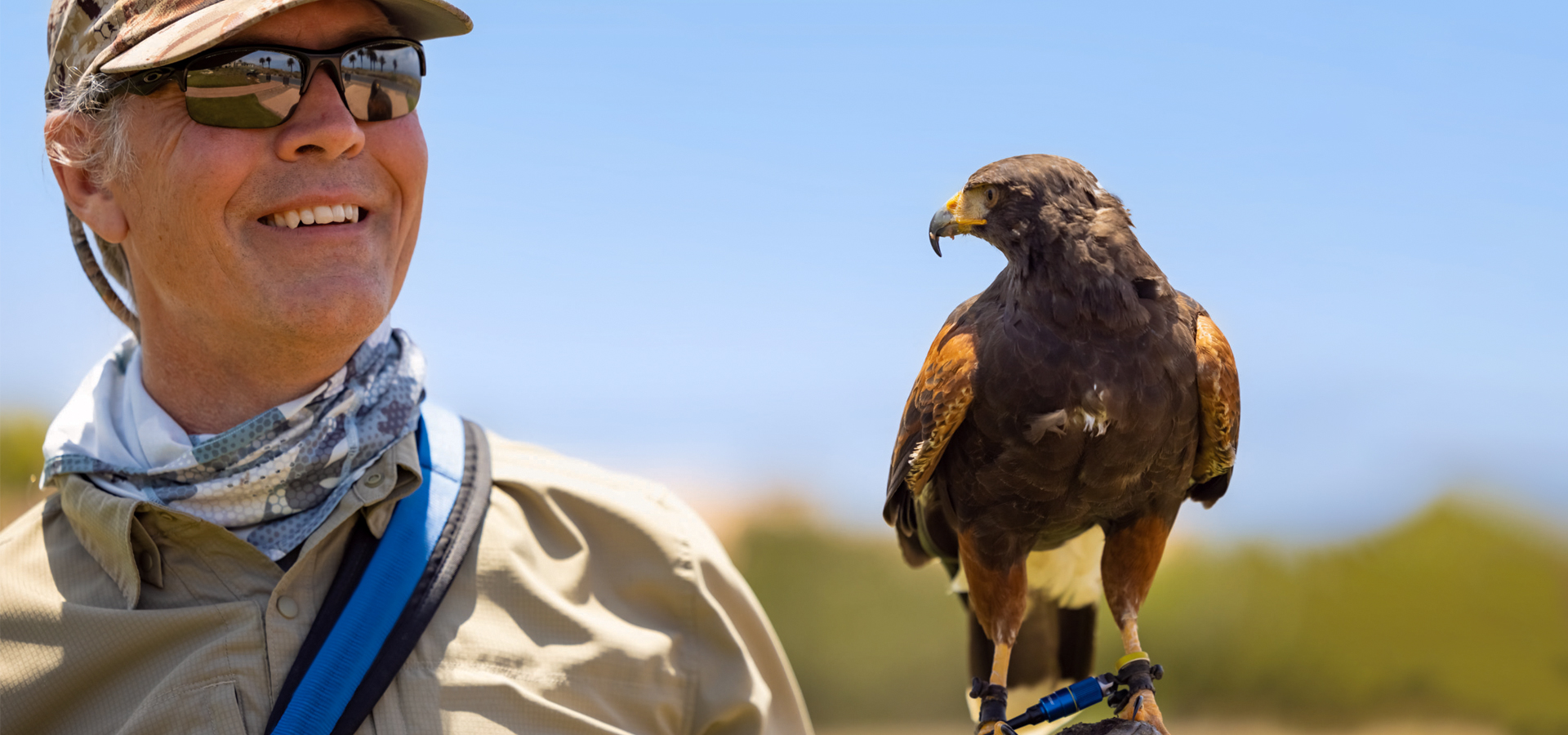 Out of Office: A Day in the Life of Joe Roy III, Falconer at Terranea ...