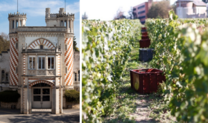 What to Do & See in Reims France | Champagne Region Guide